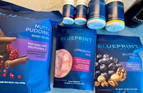 Blueprint 1.0 Review | near.blog